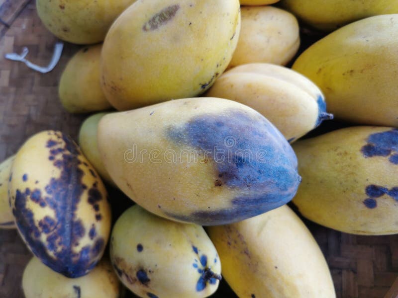 Enfermedad Vegetal Mango Fruta Podrida Imagen de archivo - Imagen de ...