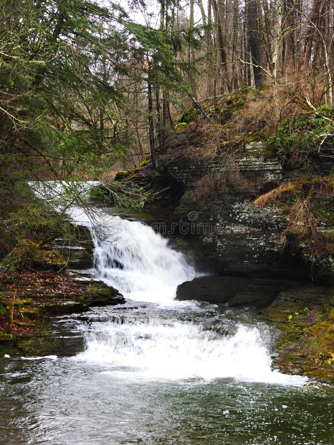 Waterfall at Enfield Gorge Trail Robert H. Treman State Park Stock ...