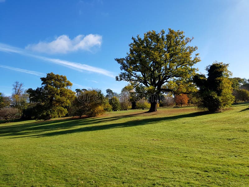 Enfield-Park stockbild. Bild von nave, sonnig, england - 82861207