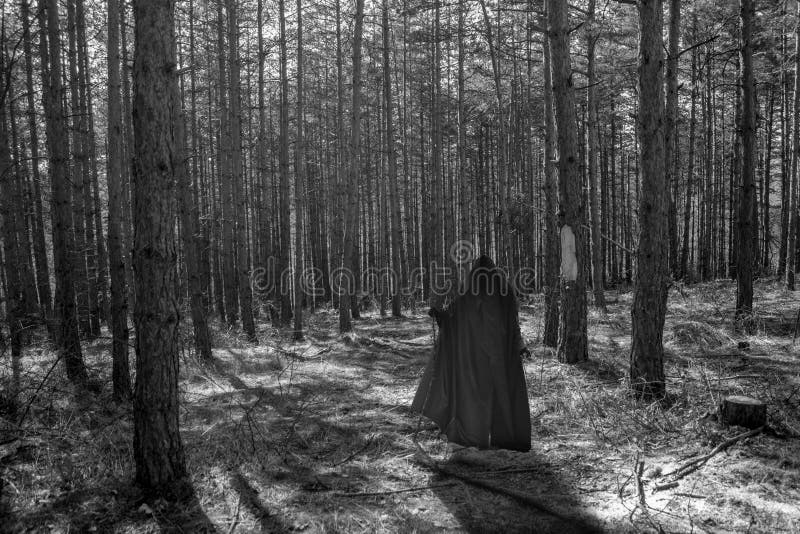 Eng Bos stock foto. Image of sneeuw, mens, manier, rand - 52704700