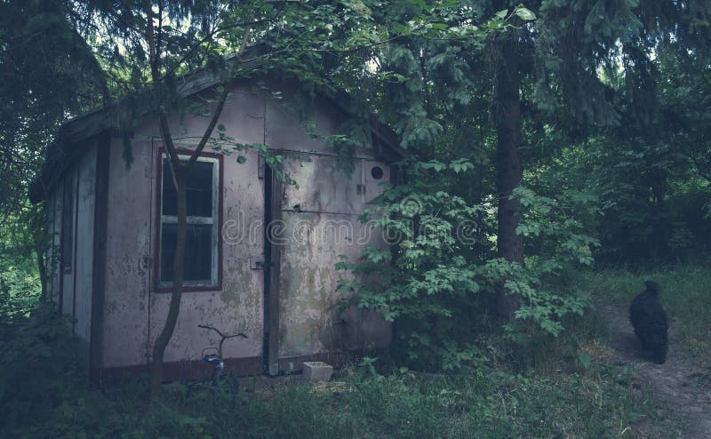 Eng huis in het bos stock foto. Image of grunge, herenhuis - 120472512