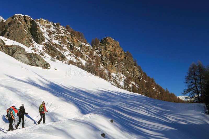 Engadina - la Svizzera fotografia stock. Immagine di naughty - 72728702