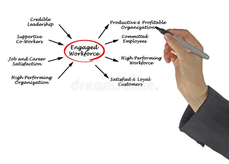 Engaged workforce stock photo. Image of engaged, consulting - 85637010