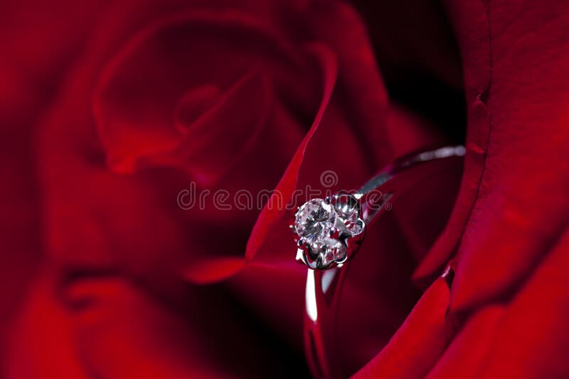 Proposal stock photo. Image of love, proposal, promise - 24444960