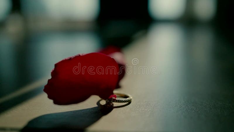 An Engagement Ring is Placed on the Table and Red Rose Petals Fall on it. Stock Video - Video of ...
