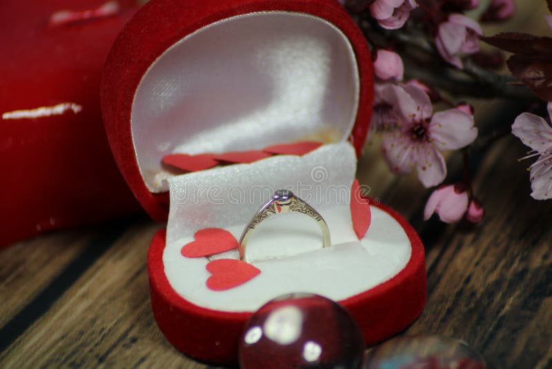 Engagement Ring.Will You Marry Me? Stock Photo - Image of plum, couple ...