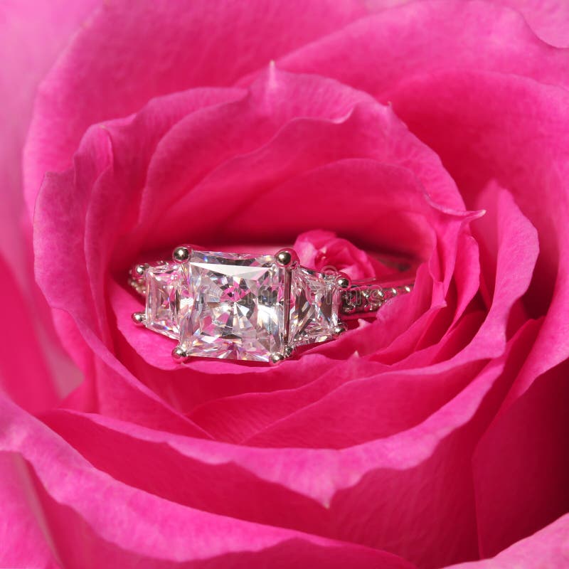 Engagement Rings in Pink Rose. Closeup Stock Image - Image of fiance ...
