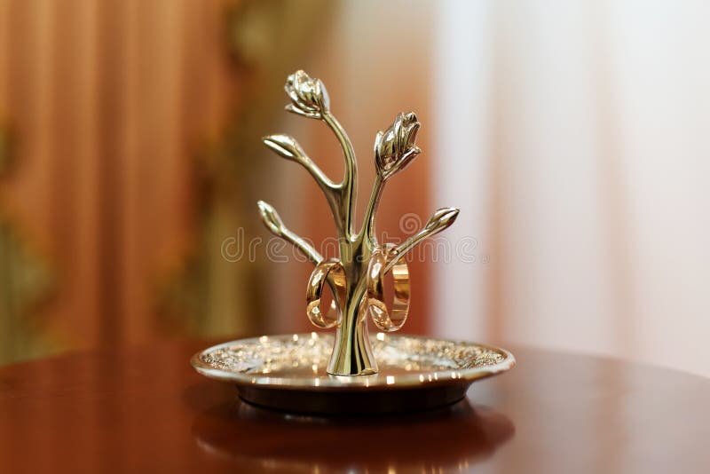 Engagement Rings on the Stand Stock Photo - Image of emotion, gemstone ...