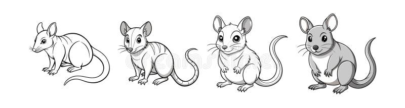 Antechinus Coloring Animal Illustration Design Stock Vector ...