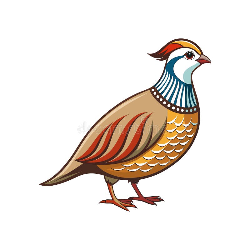 Chukar Coloring Animal Illustration Design Stock Image - Illustration ...