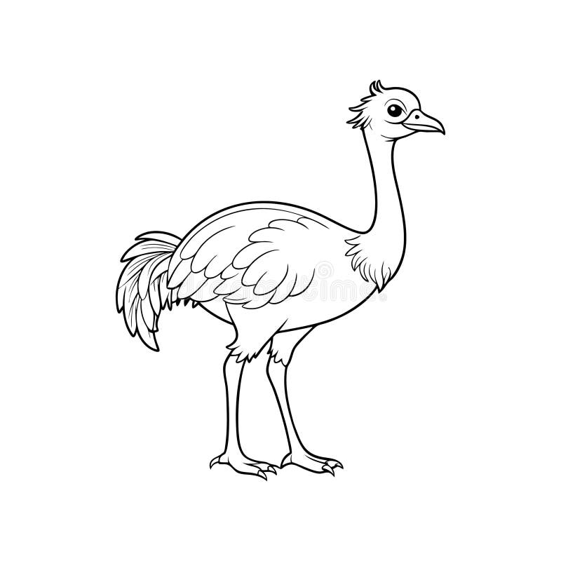 Engaging Emu Coloring Page stock image. Illustration of outline - 364223059