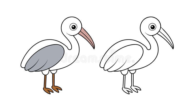 Engaging Ibis Coloring Template Stock Illustration - Illustration of ...