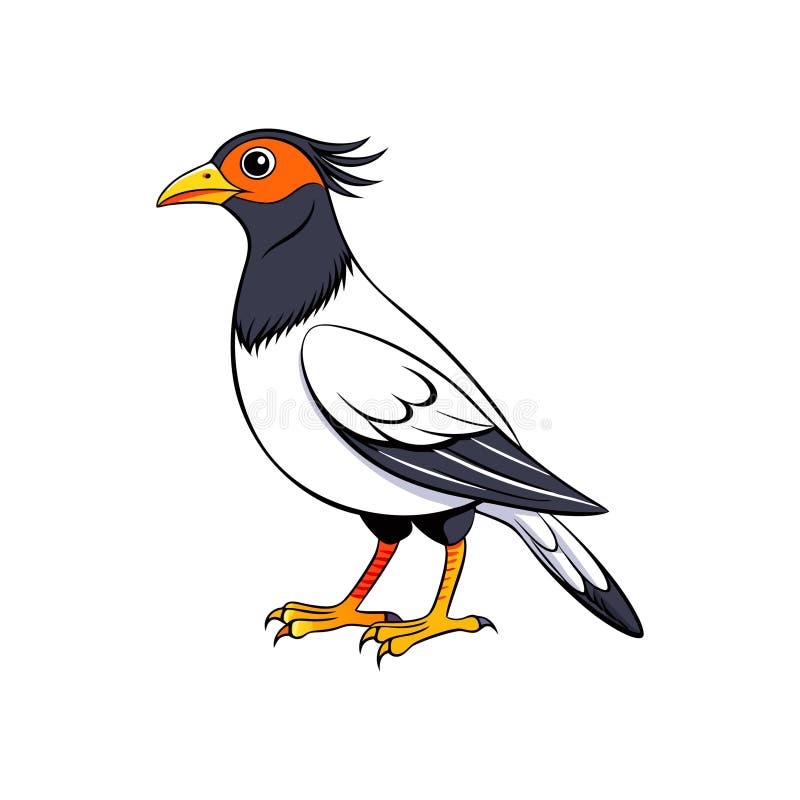 Engaging Indian Myna Coloring Template Stock Image - Illustration of ...