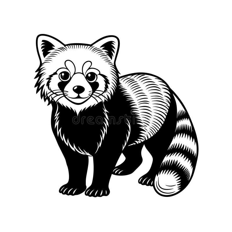 Engaging Lesser Panda Linocut Arts Activity Stock Photo - Illustration ...