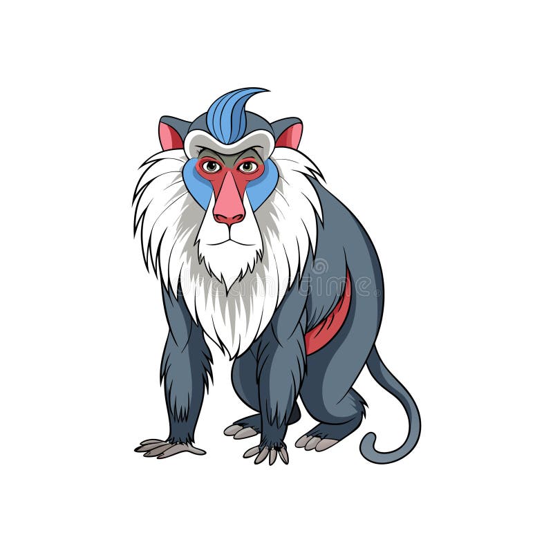 Engaging Mandrill Coloring Template Stock Illustration - Illustration ...