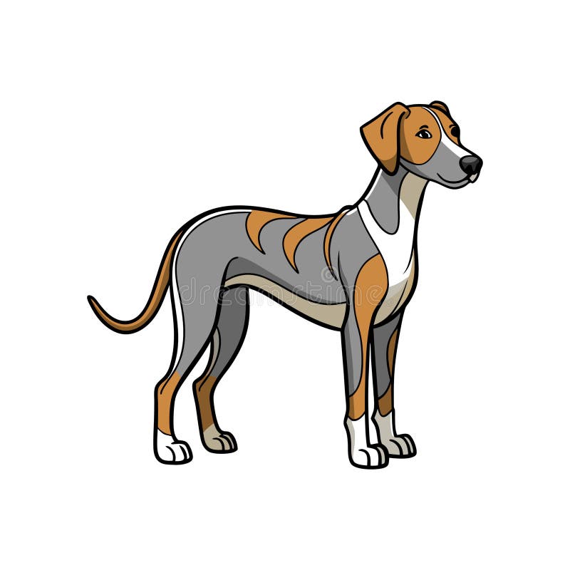 Engaging Plott Hound Coloring Activity Stock Illustration ...