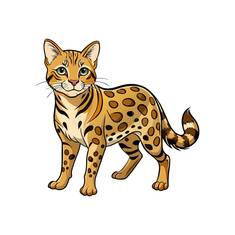 Engaging Rusty-Spotted Cat Coloring Activity Stock Illustration ...