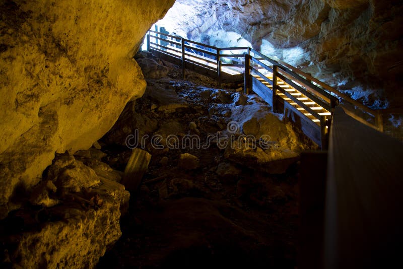 Engelbrecht Cave stock photo. Image of vegetation, park - 254071722