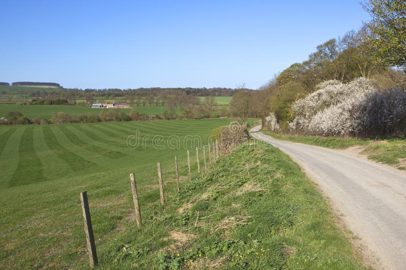 Engels landschap stock foto. Image of buiten, omheiningen - 19487214