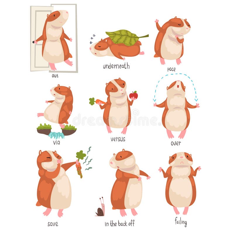 Engels Language Prepositions of Place and Cute Hamster Character Set ...