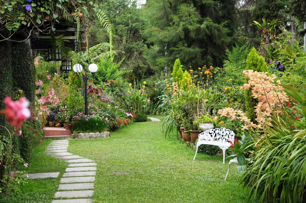 Engelse Tuin stock foto. Image of orchidee, goed, genezing - 22500314