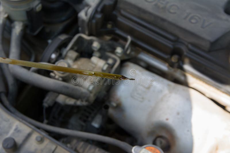 Mans Hand Check Engine Oil Level Check, Dirty Dust Engine Stock Photo ...