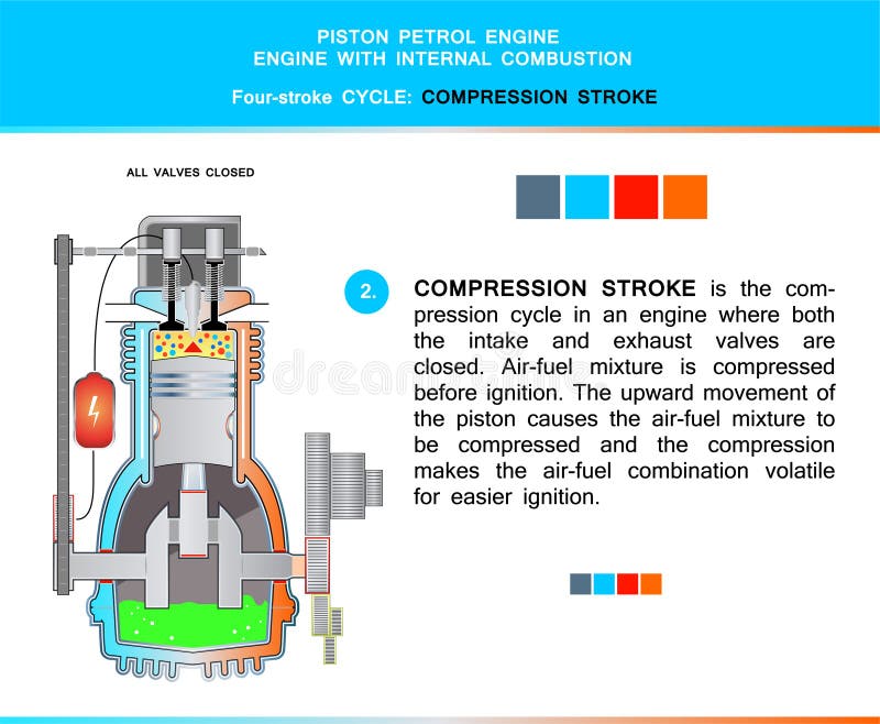 Piston Engine Four Stroke Cycle in Structural Cross Section for ...