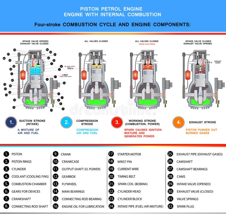 Piston Petrol Engine, Structural Cross Section and Four Stroke ...