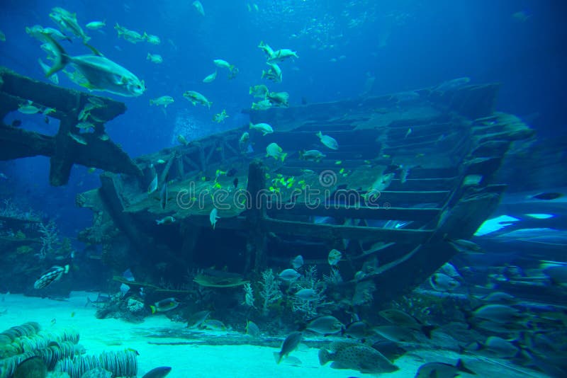 Engine room of a shipwreck stock photo. Image of tourism - 40932902