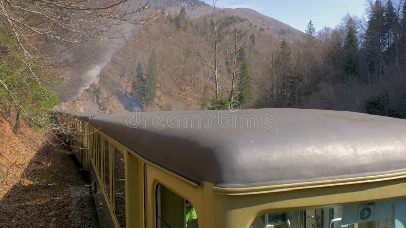 Engine Steam Train Wagons Riding through the Forest Stock Footage ...