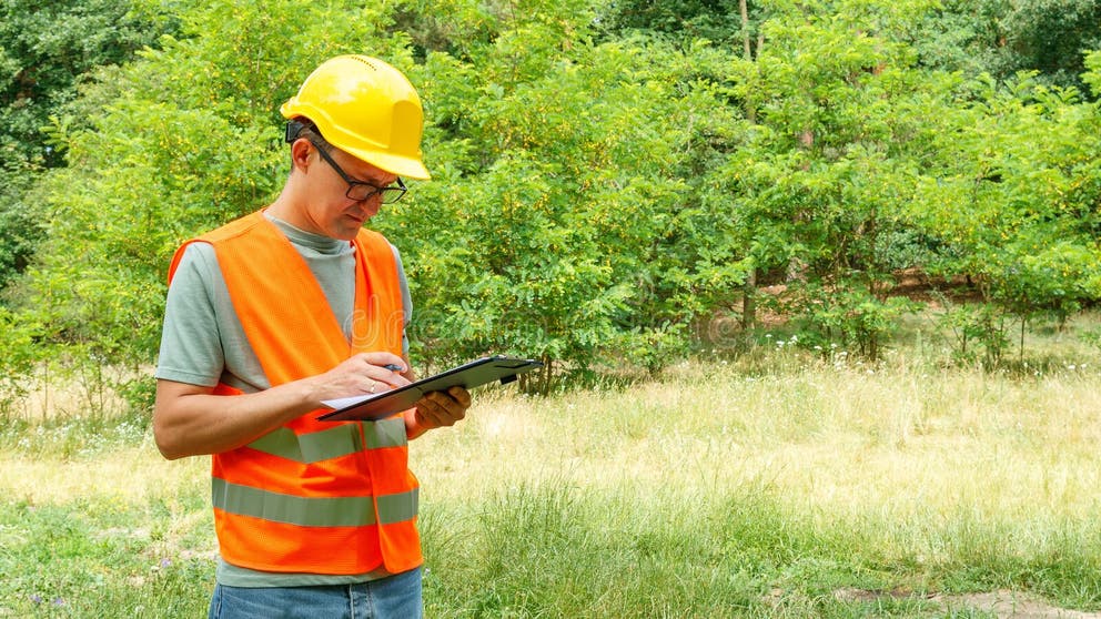 Eco Technic with Clipboard Checking Trees. Forester Worker Stock Image ...