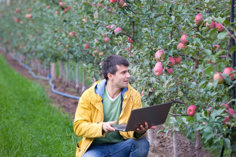 Engineer in orchard stock image. Image of healthy, harvest - 78631365