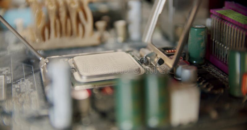 Engineer Repairman Holding Chip Processor CPU in Hands To Insert into ...