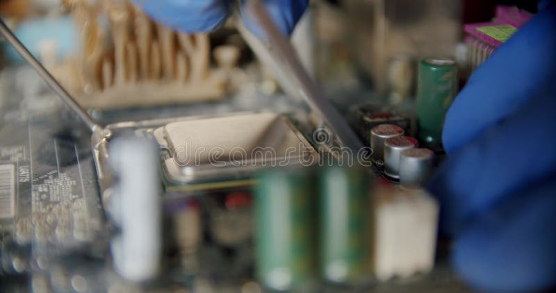 Engineer Repairman Holding Chip Processor CPU in Hands To Insert into ...