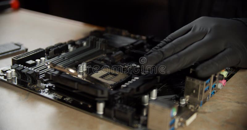 Engineer Repairman Holding Chip Processor CPU in Hands To Insert into ...