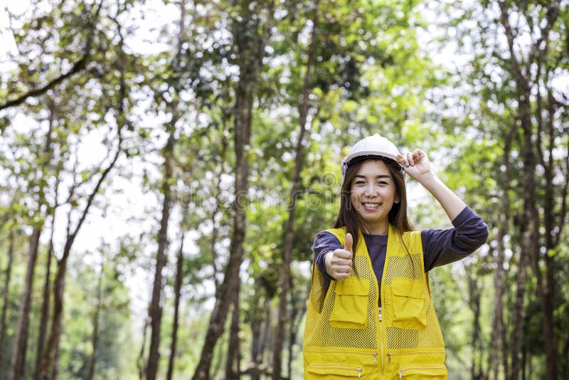 An Engineer Working in the Forest. Forest Worker Supervisors are ...