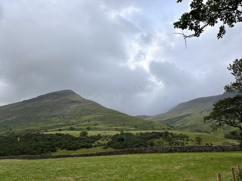 Greenery in the Mountains of the Lake District Stock Photo - Image of ...
