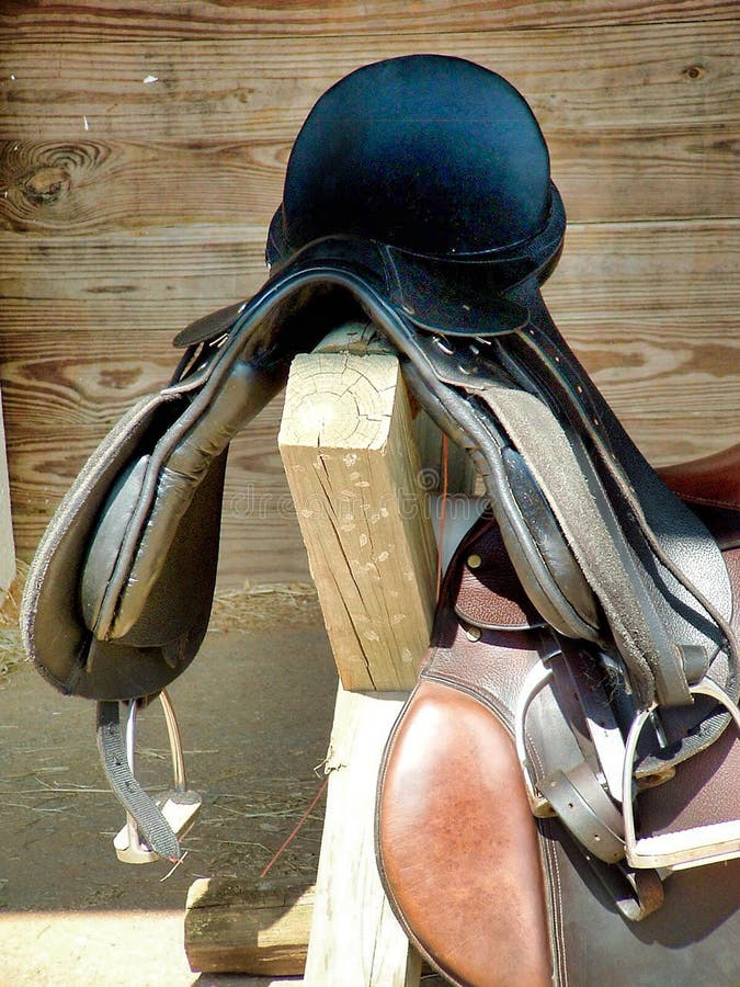 Englischer Sattel stockfoto. Bild von pferdeartig, holz - 246817222