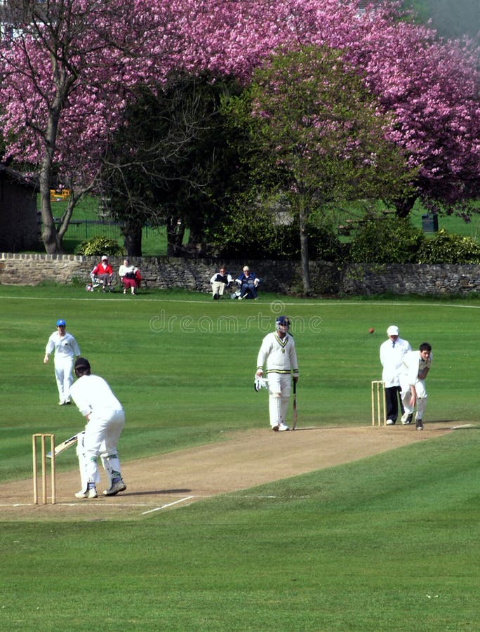 Familie, Die Miteinander Hoch Fünf Beim Spielen Des Krickets Gibt ...