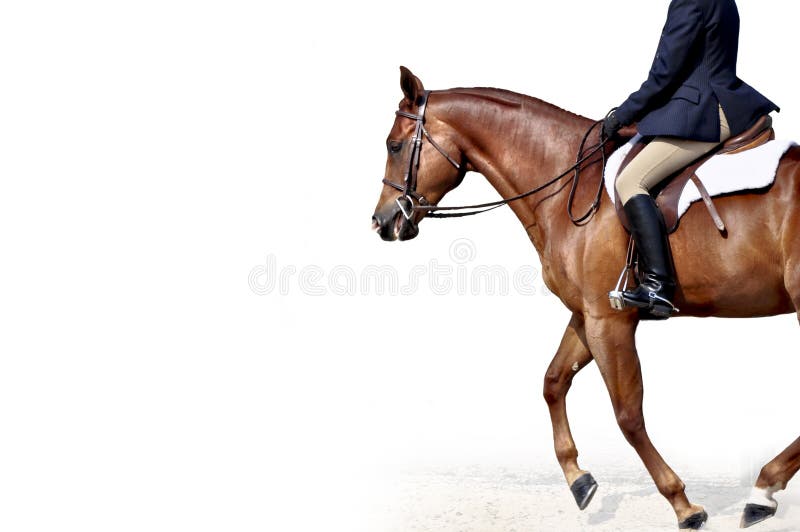 Pferdesattel, Leder, Decke stockbild. Bild von pferdeartig - 51380683