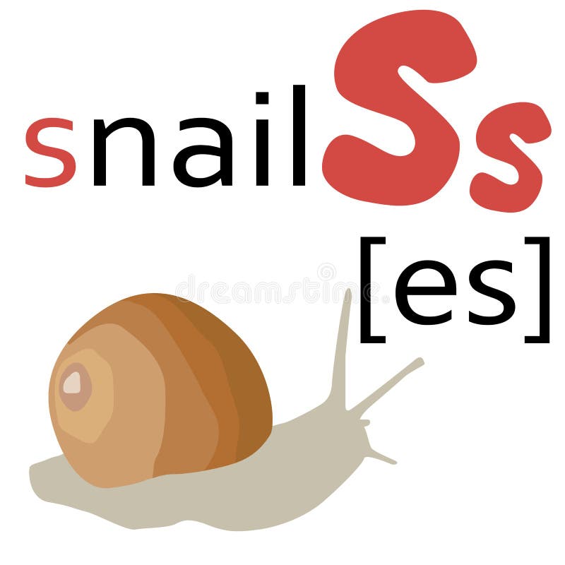 English Alphabet Letters with Drawings and Transcription Set Stock ...