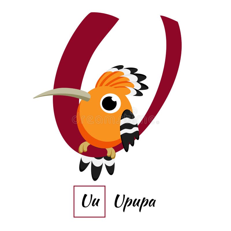 English Animal Alphabet Letter U in Vector Style Stock Illustration ...