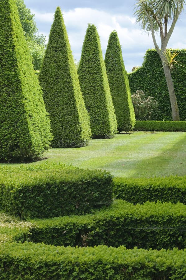 English Boxwood Garden Design Stock Photo - Image of horticulture ...