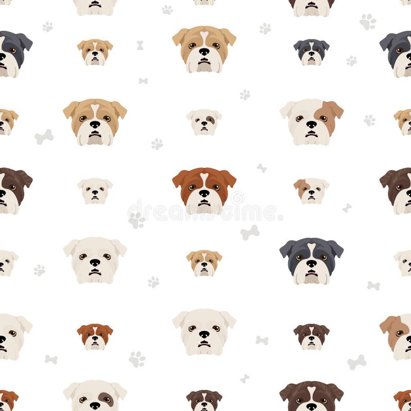English Bulldog Seamless Pattern. Different Poses, Coat Colors Set ...