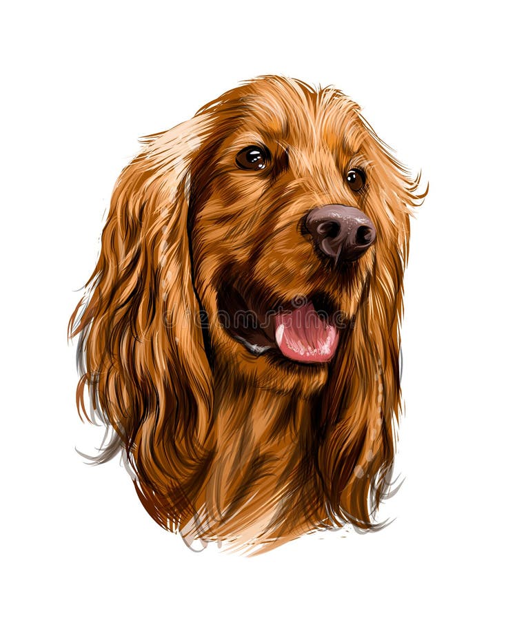 Cocker Spaniel Stock Illustrations – 1,396 Cocker Spaniel Stock ...