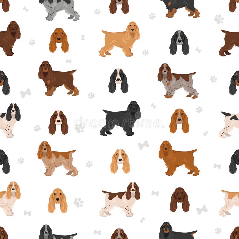 English Cocker Spaniel Show Type Clipart and Seamless Pattern ...