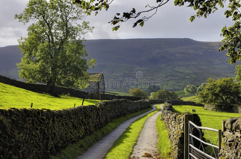 Country lane and farm stock image. Image of barn, healthy - 2931941