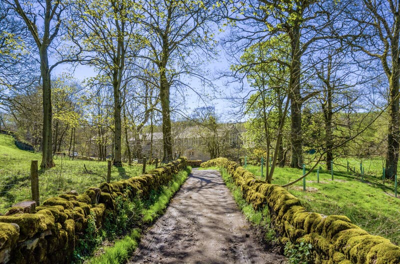 Country lane and farm stock image. Image of barn, healthy - 2931941