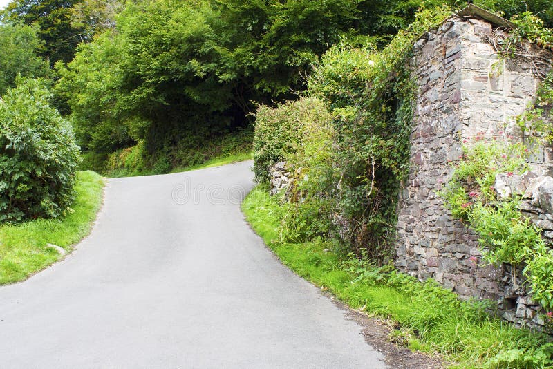 English Country Lane in Devon Stock Photo - Image of picturesque ...