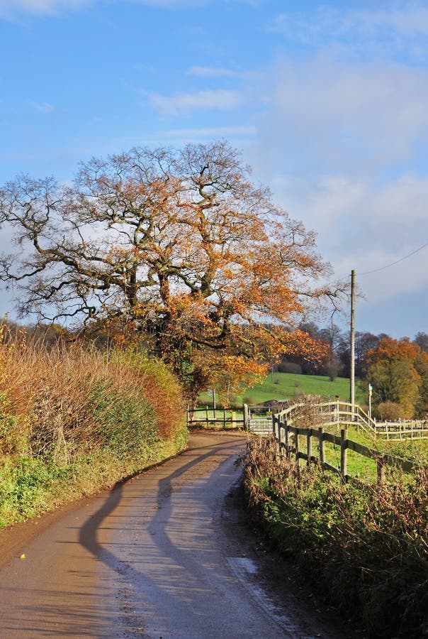 An English Country Lane in Early Winter Stock Image - Image of fields ...